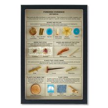 Forensic Evidence: Botanical Display | Carolina Biological Supply