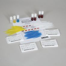 Carolina BioKits®: Blood Cells/Antisera | Carolina Biological Supply