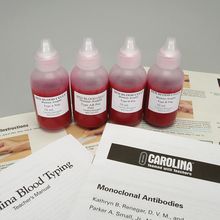 Aseptic Bulk Blood Cells Set | Carolina Biological Supply