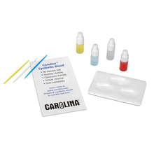 Synthetic Blood Typing Student Kit | Carolina Biological Supply