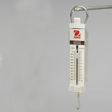 OHAUS Pull-Spring Scales, 1,000 g x 25 g/10 N x 0.25 N | Carolina ...