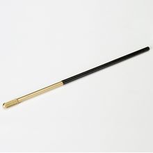 Deluxe Kolle Needle Holder | Carolina Biological Supply