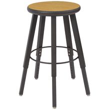 5-Legged Adjustable Stool | Carolina Biological Supply