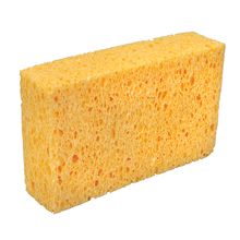 DuPont® Cellulose Sponge | Carolina Biological Supply