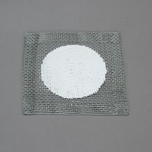 Wire Gauze | Carolina.com