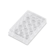 12-Well Cell Culture Plate | Carolina Biological Supply