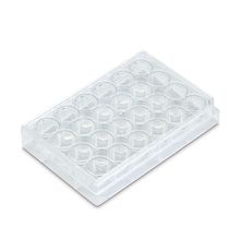 24-Well Cell Culture Plate | Carolina Biological Supply