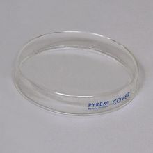 Pyrex®, Petri Culture Dish, 100 x 20 mm | Carolina Biological Supply