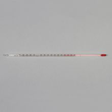 Red Spirit-Filled Partial Immersion 12" Thermometer (-10 to 150 C ...