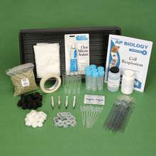 Cell Respiration 8-Station Kit | Carolina Biological Supply
