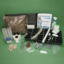 Transpiration 8-Station Kit | Carolina Biological Supply