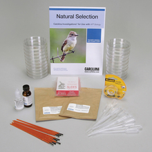 Carolina Investigations® for Use with AP® Biology: Natural Selection 1 ...