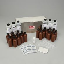 Enzyme Activity Materials Kit for AP® Example Labs | Carolina ...