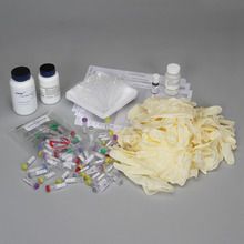 Biotechnology: Restriction Enzymes Analysis of DNA Materials Kit for AP ...