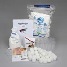Fruit Fly Behavior Materials Kit for AP® Example Labs | Carolina ...