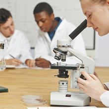 Materials Kit Bundle for AP® Biology Example Labs | Carolina Biological ...