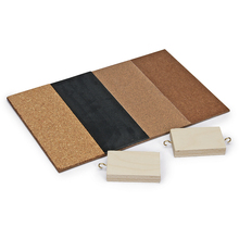 Friction Board | Carolina Biological Supply