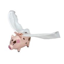 The Flying Pig | Carolina Biological Supply