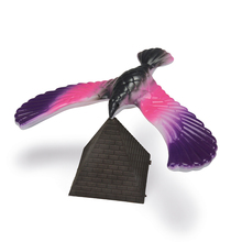 Balancing Bird | Carolina Biological Supply