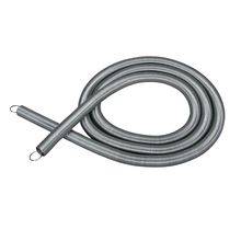 Narrow Coiled Spring | Carolina Biological Supply