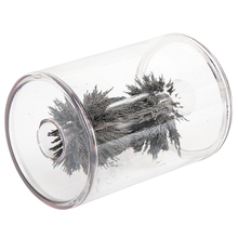 Magnetic Field Tube | Carolina Biological Supply