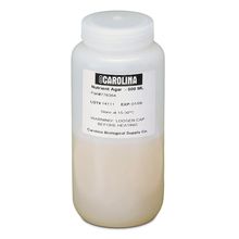 Nutrient Agar, Prepared Media Bottle, 500 mL | Carolina Biological Supply
