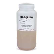 Nutrient Agar, Prepared Media Bottle, 500 mL, Plastic Bottle | Carolina ...