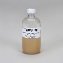 Nutrient Agar, 1.5%, Prepared Media Bottle, 125 mL | Carolina ...