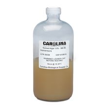 Nutrient Agar, 1.5%, Prepared Media Bottle, 500 mL | Carolina ...