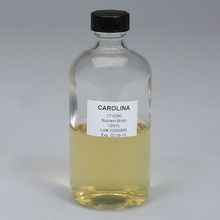 Nutrient Broth, Prepared Media Bottle, 125 mL | Carolina Biological Supply