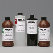 Gram Stain Kit, Large or Small | Carolina Biological Supply