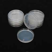 Nutrient Agar, 1.5%, Prepared Media Plates, 100 x 15 mm, Pack of 10 ...