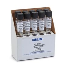 Nutrient Agar Slant, Prepared Media Tubes, Pack of 10 | Carolina.com