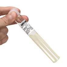 Nutrient Broth, Prepared Media Tubes, Pack of 10 | Carolina Biological ...
