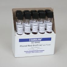 Phenol Red Broth Base Lactose with Durham Tube, Prepared Media Tubes ...