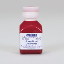 Sheep Blood, Defibrinated, Pooled, 50 mL | Carolina Biological Supply