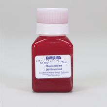 Sheep Blood, Defibrinated, Pooled, 100 mL | Carolina Biological Supply