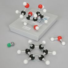 Molymod® Organic Molecular Model Student Set | Carolina Biological Supply