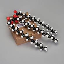 Molymod® Fat Model Kit | Carolina Biological Supply