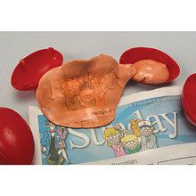 Silly Putty, Pack of 3 | Carolina Biological Supply