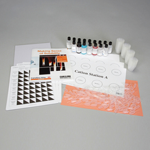 Making Sense of Solubility Kit | Carolina Biological Supply