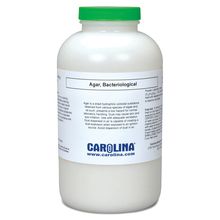 Agar Powder, Reagent Grade, 500 g | Carolina Biological Supply