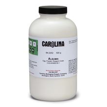 Albumin, Reagent Grade, 500 g | Carolina Biological Supply