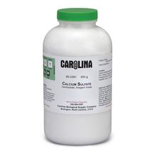Calcium Sulfate Hemihydrate, Powder, 500g, Reagent Grade | Carolina ...