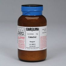 Catechol, Reagent Grade, 100 g | Carolina Biological Supply