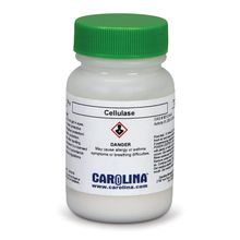 Cellulase, Laboratory Grade, 25 g | Carolina Biological Supply