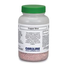 Copper, Shot, Laboratory Grade, 500 g | Carolina Biological Supply