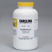 Iron (III) Nitrate, Nonahydrate | Carolina Biological Supply