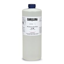 Hydrochloric Acid, 0.1 M (0.3% v/v), Reagent Grade, 1 L | Carolina Biological Supply