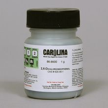 2,6-Dichloroindophenol, Laboratory Chemical Grade | Carolina Biological ...